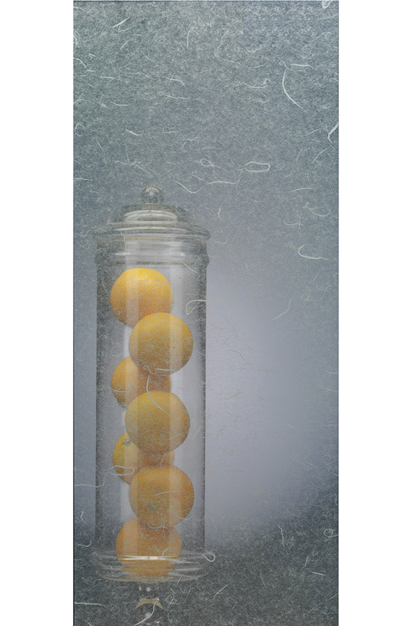 Seeded Glass Cabinet Insert - Schrock Cabinetry